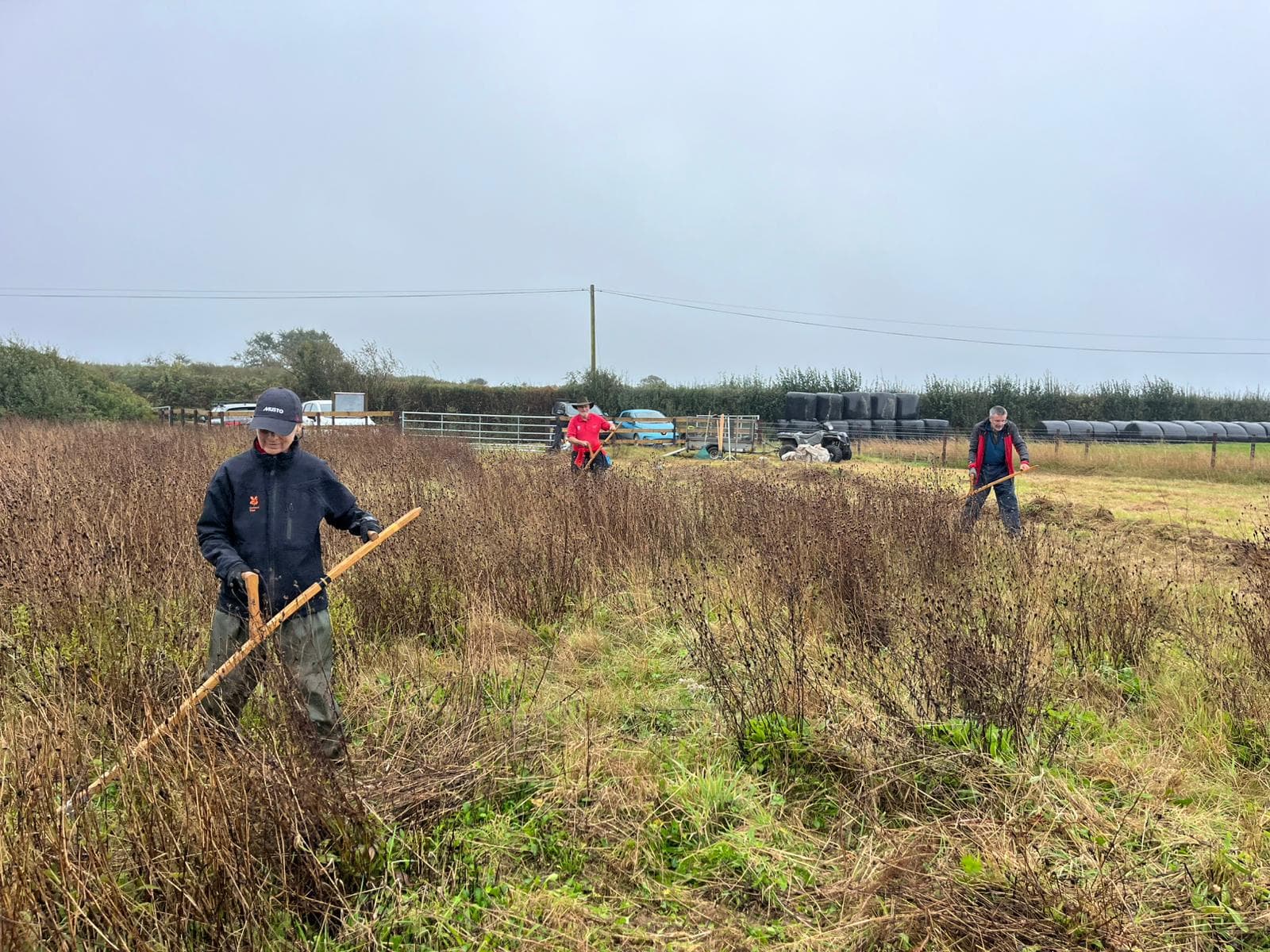 Mike's Meadow Working Party :: REACT